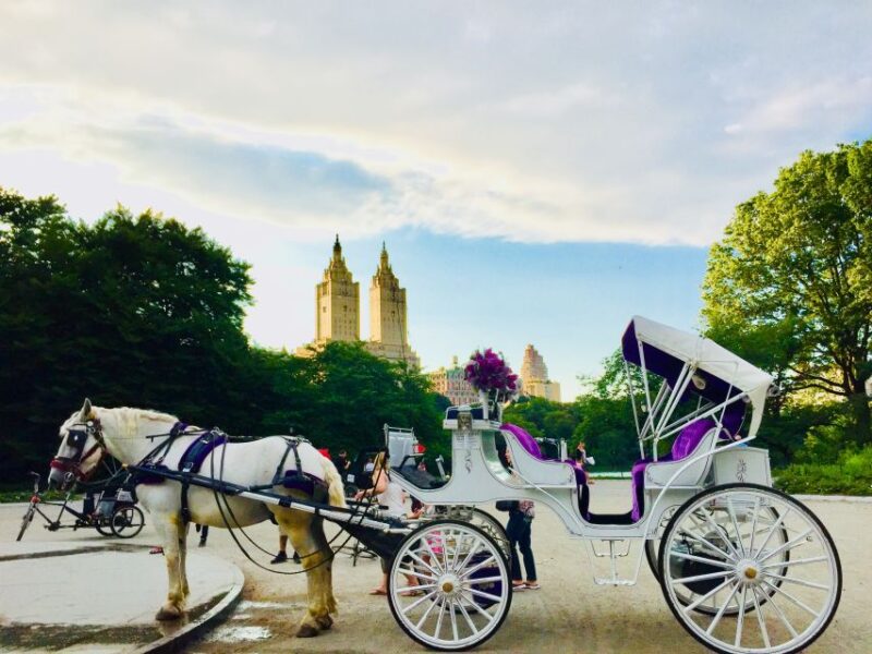 Manhattan: VIP Private Horse Carriage Ride in Central Park - The Sum Up