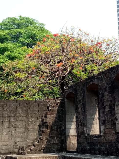Manila: Intramuros Rev Walk - Who Should Join This Tour?