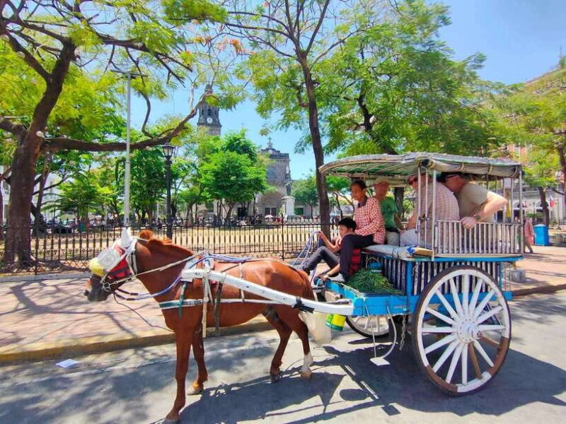 Manila: Rich History of Intramuros Private Tour - Who Will Love This Tour?