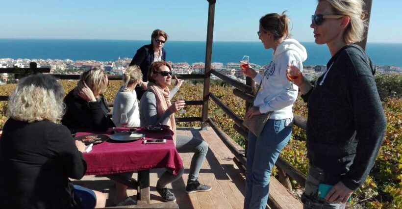 Manilva: Nilva Vineyard, Wine Tasting & Tapas Guided Tour - A Practical Look at the Manilva: Nilva Vineyard, Wine Tasting & Tapas Guided Tour