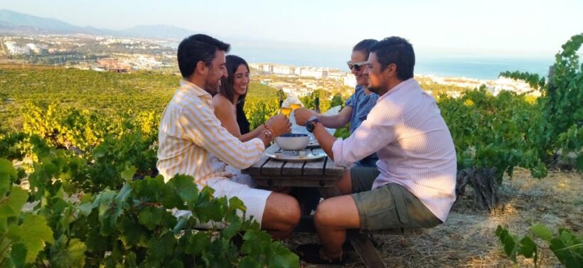 Manilva: Nilva Vineyard, Wine Tasting & Tapas Guided Tour - Key Points