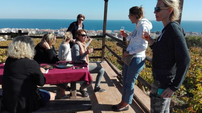 Manilva: Nilva Vineyard, Wine Tasting & Tapas Guided Tour - What Travelers Are Saying