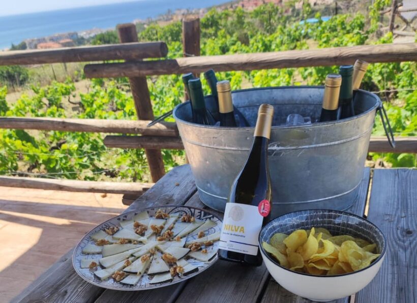 Manilva: Nilva Vineyard, Wine Tasting & Tapas Guided Tour - Final Thoughts