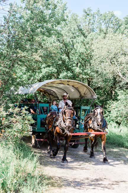 Manitoba: Horse-Drawn Wagon Ride in Spruce Woods Park - Who Should Consider This Tour?