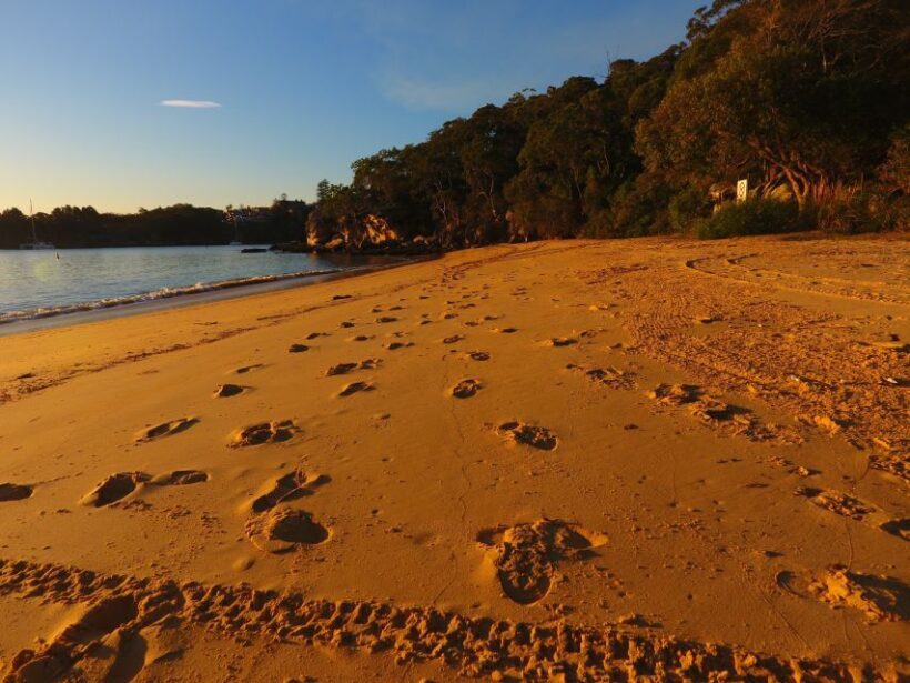 Manly: 3-Beach Kayak Tour with Lunch - Exploring the Itinerary in Detail