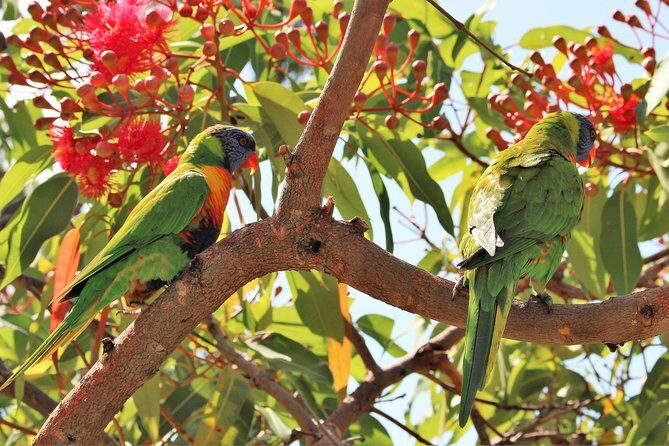 Manly and more private tour - FAQ
