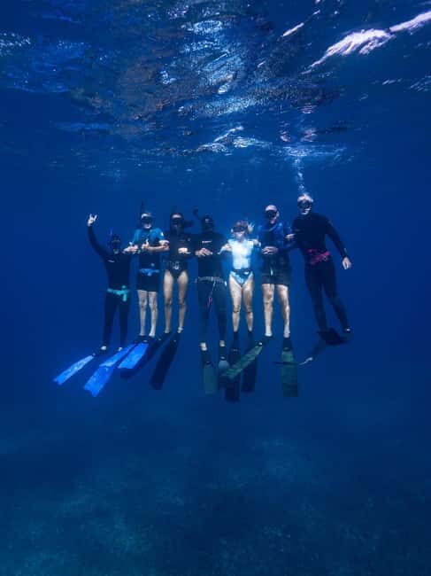 Manly: Beginner Freediving: Breath-Hold & Ocean Exploration - FAQ: Common Questions