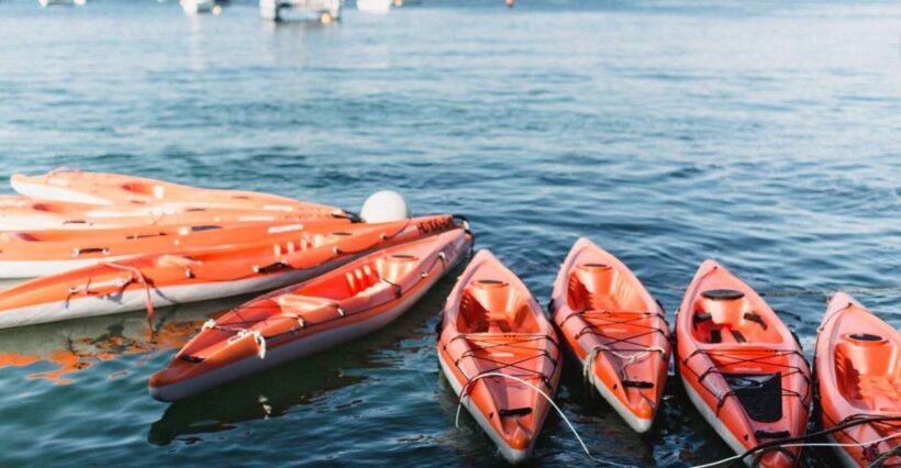 Manly: Mini Kayak Tour on Sydney's North Harbour - A Closer Look at the Tour Itinerary
