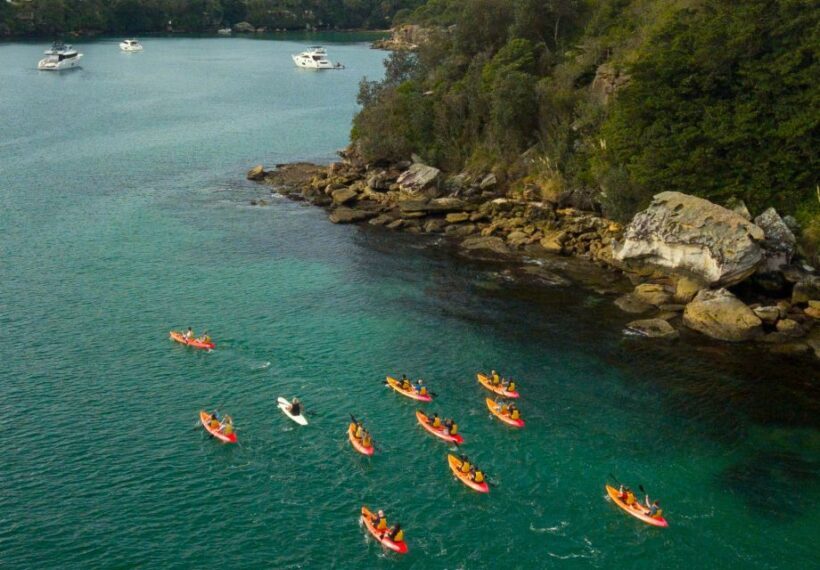 Manly: Mini Kayak Tour on Sydney's North Harbour - The Sum Up: Who Will Love This Tour?