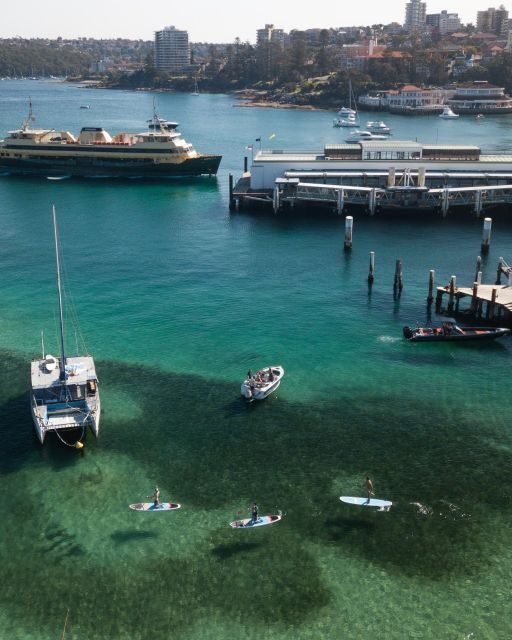 Manly Stand Up Paddle Board Hire - Authentic Reviews and Insights