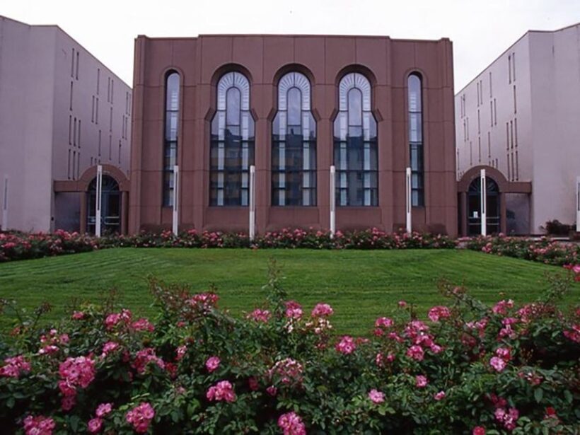 Mannheim, guided costume tour: Hangmen, Witches, Huguenots - Why This Tour Is a Great Value