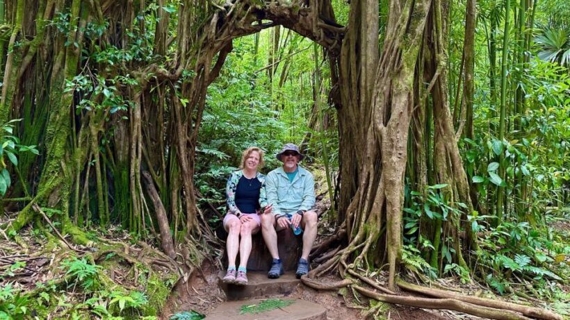Manoa Falls eBike to Hike - An In-Depth Look at the Manoa Falls eBike to Hike Tour