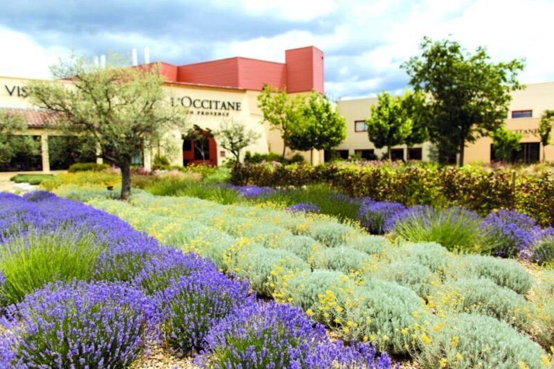 Manosque: L'Occitane in Provence Guided Factory Tour - Customer Feedback