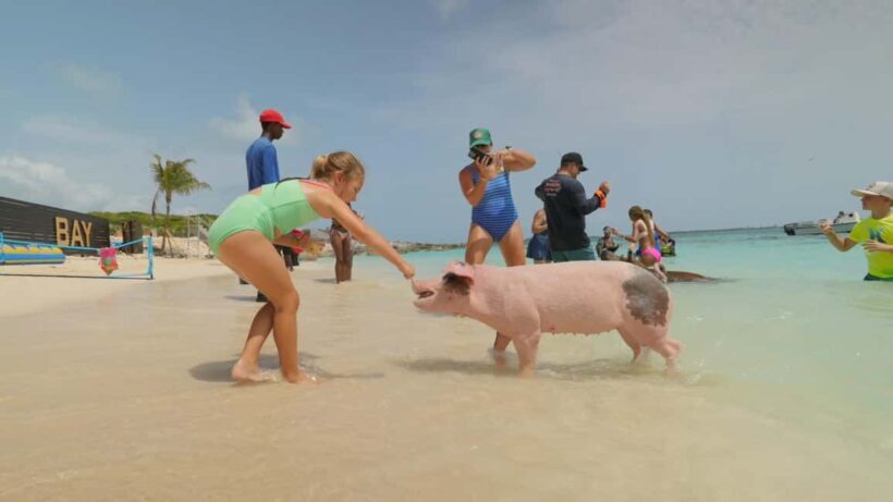 Mansa Bay w/ Swimming Pigs, Banana Boat, JetSki & Snorkeling - The Itinerary in Detail