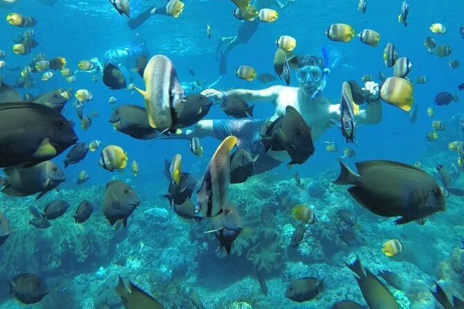 Manta Bay Snorkeling Adventure with Kelingking Beach Nusa Penida All Inclusive - Introduction