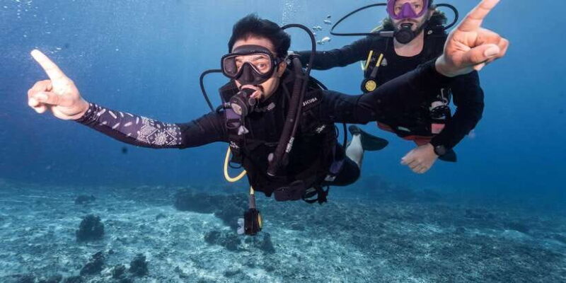 Manta Dive Gili Trawangan: Discover Scuba Diving - Who Will Love This Tour?