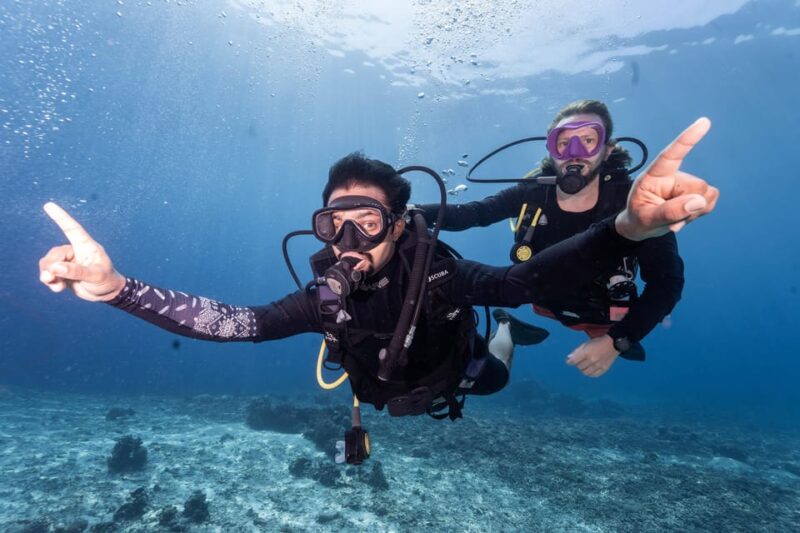 Manta Dive Gili Trawangan: Discover Scuba Diving - Who Might Want to Skip It?