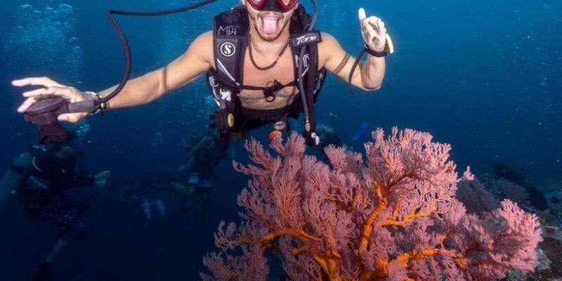 Manta Dive Gili Trawangan: Discover Scuba Diving - FAQ