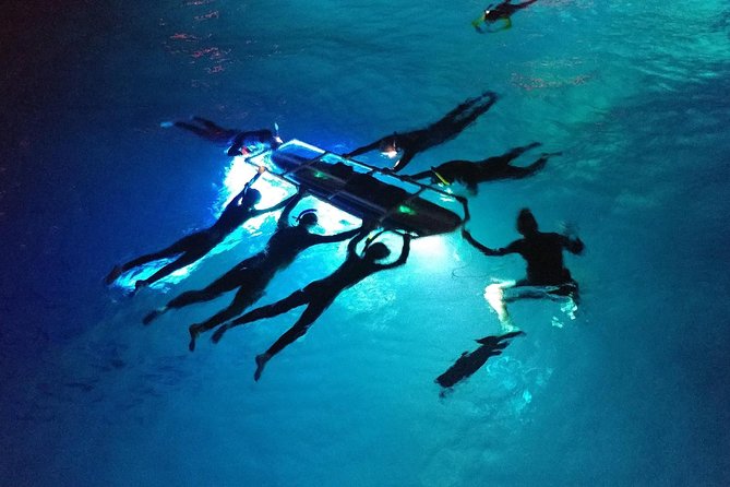 Manta Mania - Manta Ray Night Snorkel - Small-Group Experience In Kona, Hawaii - FAQ