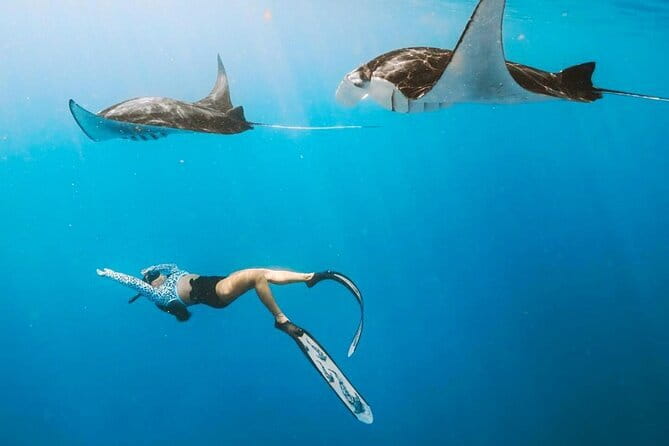 Manta Point Snorkeling & West Nusa Penida Island Day Tour - In-Depth Review of the Tour Experience