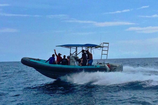 Manta Ray Night Snorkel at Kona, Big Island - FAQ