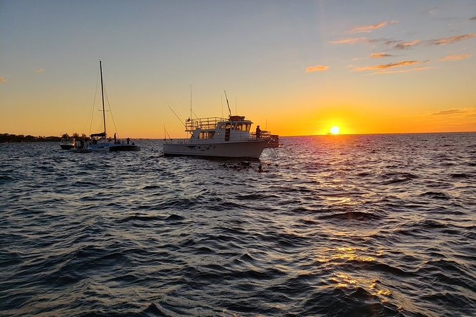 Manta Ray Night Snorkel in Kona - Pricing and Value