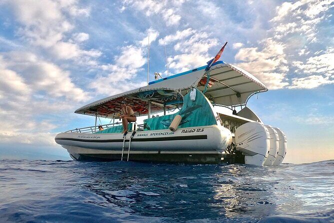 Manta Ray Snorkel Experience - Overview of the Tour