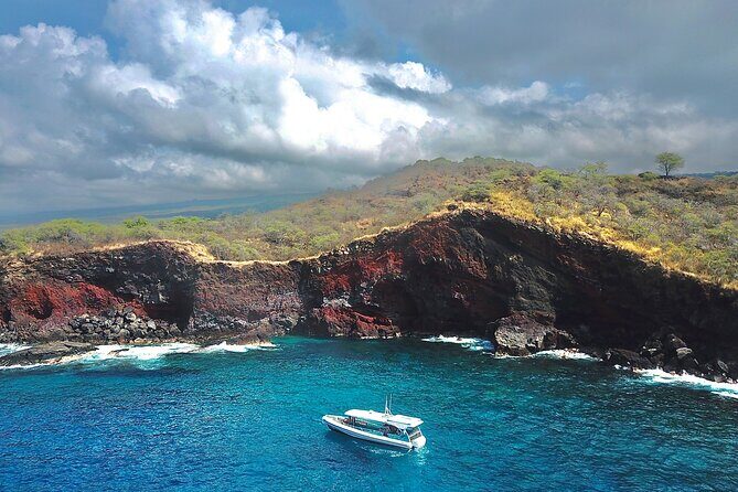 Manta Ray Snorkel Experience - Why This Tour Stands Out