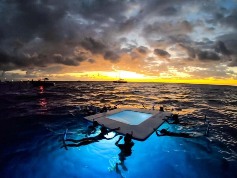 Manta Ray Snorkel in Kailua-Kona with Hot Cocoa - The Sum Up: Why It’s Worth Your Time
