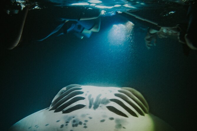 Manta Ray Snorkeling by Night in Kailua-Kona, Hawaii - FAQ