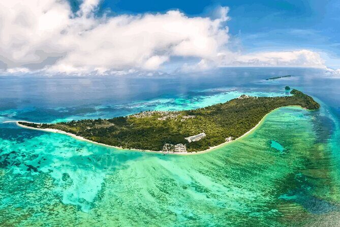 Mantanani Island Diving Paradise Tour from Kota Kinabalu - What to Expect During the Dives