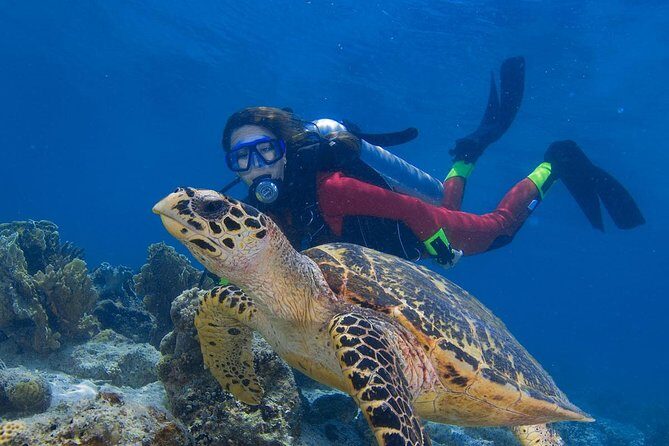 Mantanani Island Diving Paradise Tour from Kota Kinabalu - Who Would Love This Tour?