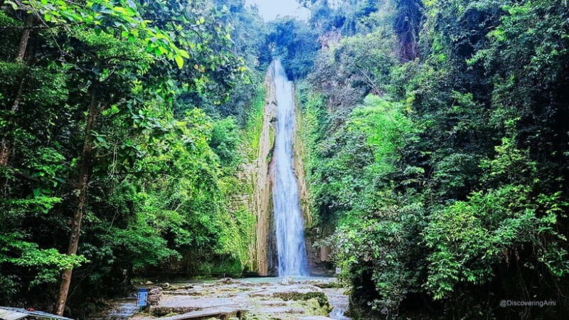Mantayupan Falls & Moalboal: Snorkeling & Sardine Run Tour - Mantayupan Falls: A Natural Wonder