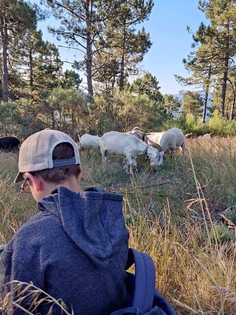 Manteigas: Serra da Estrela Shepherd Path Hike with Shepherd - Why Consider the Serra da Estrela Shepherd Path Hike?