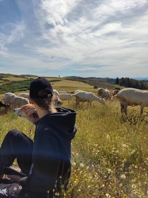 Manteigas: Serra da Estrela Shepherd Path Hike with Shepherd - Similar Experiences to Explore