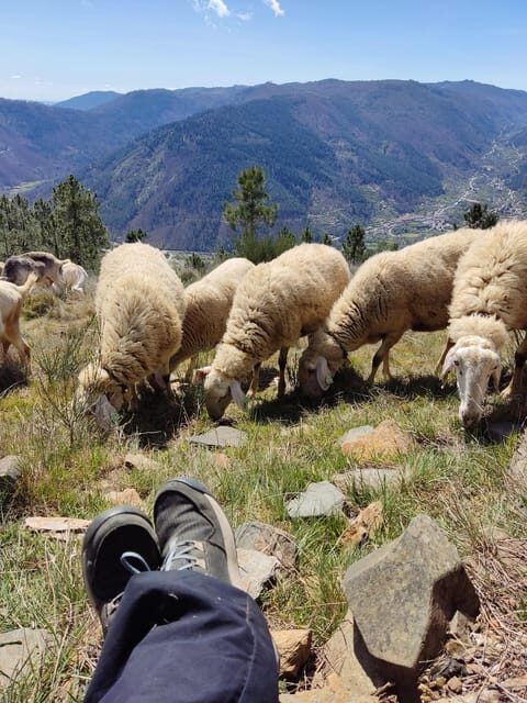 Manteigas: Serra da Estrela Shepherd Path Hike with Shepherd - FAQ