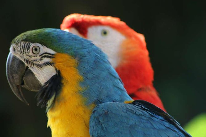 Manu Adventure (4 Days) - Meeting and Pickup