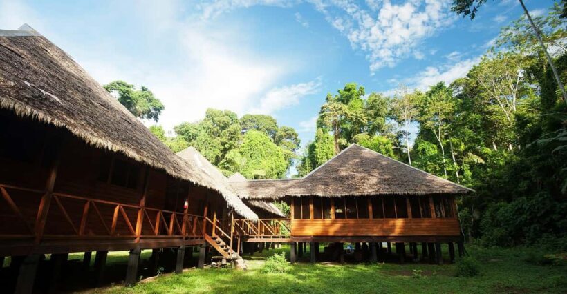 Manu Jungle Tour 5 Days - Key Points