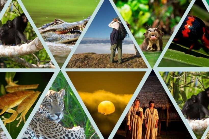 Manú Park | Paucartambo | Pilcopata 3 days includes food - FAQ