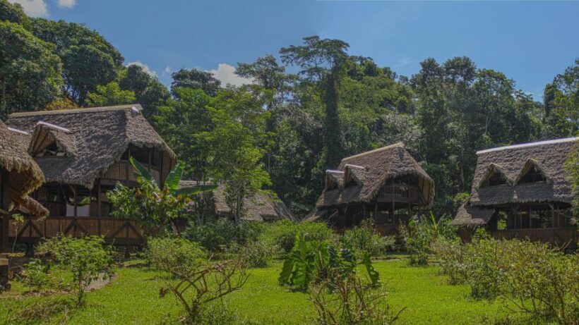 Manu Rainforest Tour 6 Days - Introduction: What to Expect from the Manu Rainforest Tour