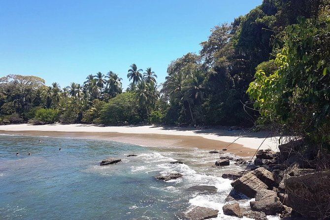 Manuel Antonio National Park; Beach & Sightseeing Day Trip From San Jose - Wildlife Viewing Highlights