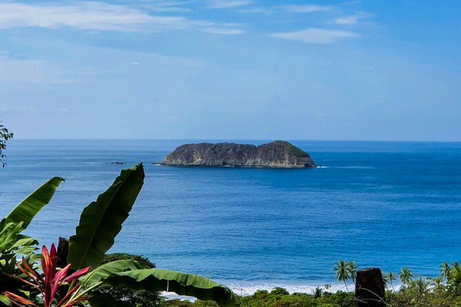 Manuel Antonio National Park From San José - Wildlife Encounters in the Park