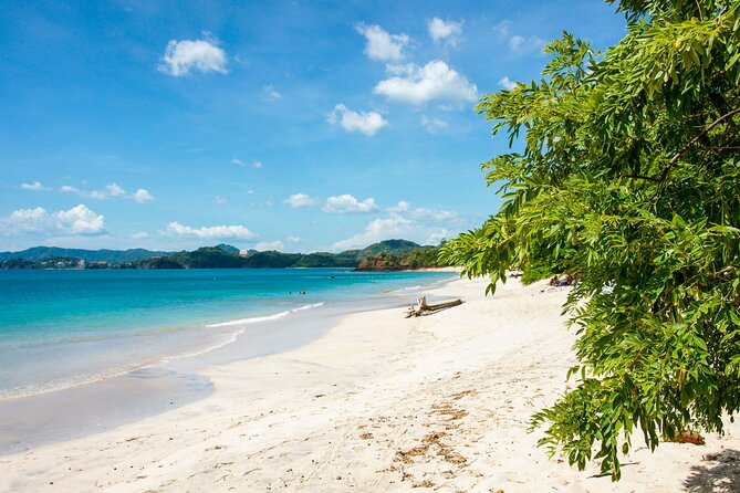 Manuel Antonio National Park Full Day Tour From San Jose - Inclusions and Exclusions