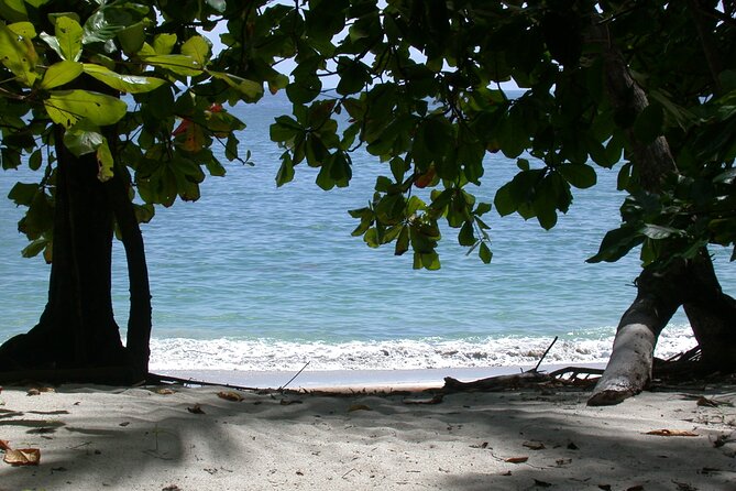 Manuel Antonio National Park Full Day Tour From San Jose - What to Expect and Recommendations