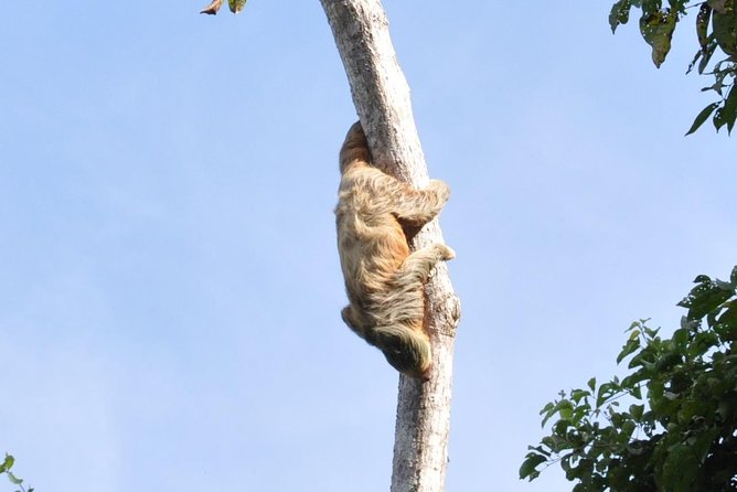 Manuel Antonio National Park Hiking Tour From Jacó - Traveler Reviews and Feedback