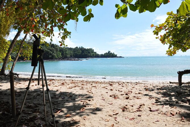 Manuel Antonio National Park Hiking Tour From Jacó - Enjoying Stunning Beaches and Swimming