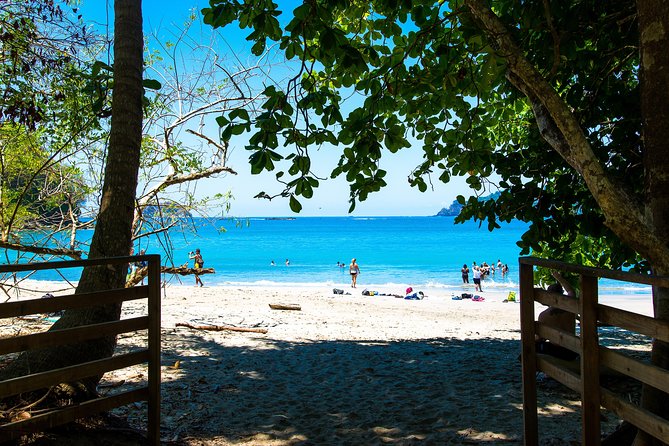 Manuel Antonio National Park, PRIVATE Day Tour From Jaco - Key Points