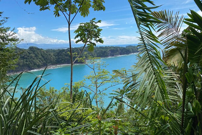 Manuel Antonio National Park, PRIVATE Day Tour From Jaco - Guest Reviews