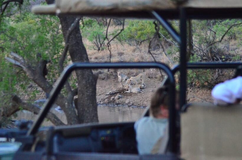 Manyane: 6HGame Drive with Lunch - Key Points