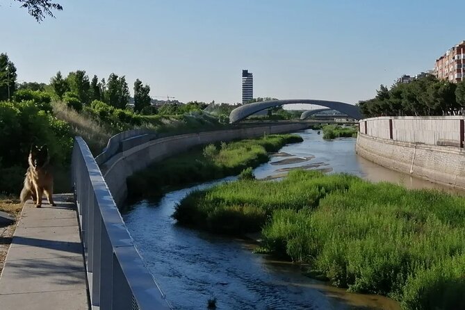 Manzanares Rivers Story: A Self-Guided Audio Tour in Madrid - What the Tour Covers